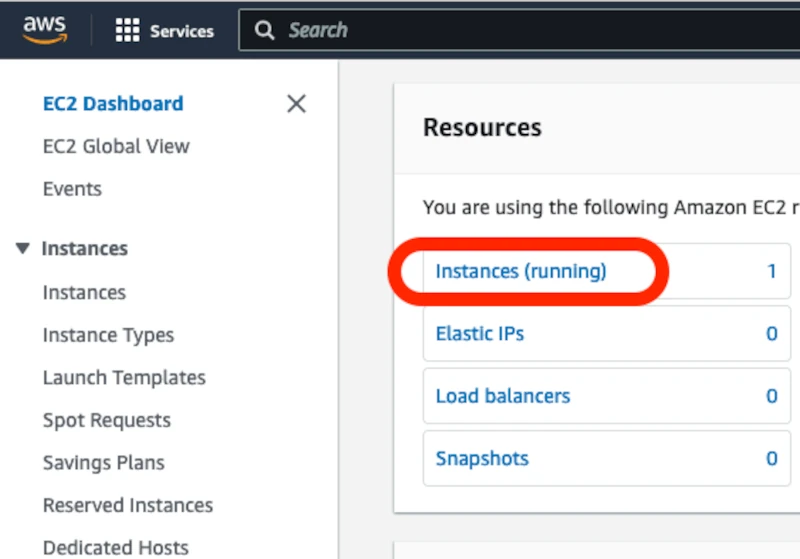 Create and Deploy a Website from your IDE to a URL